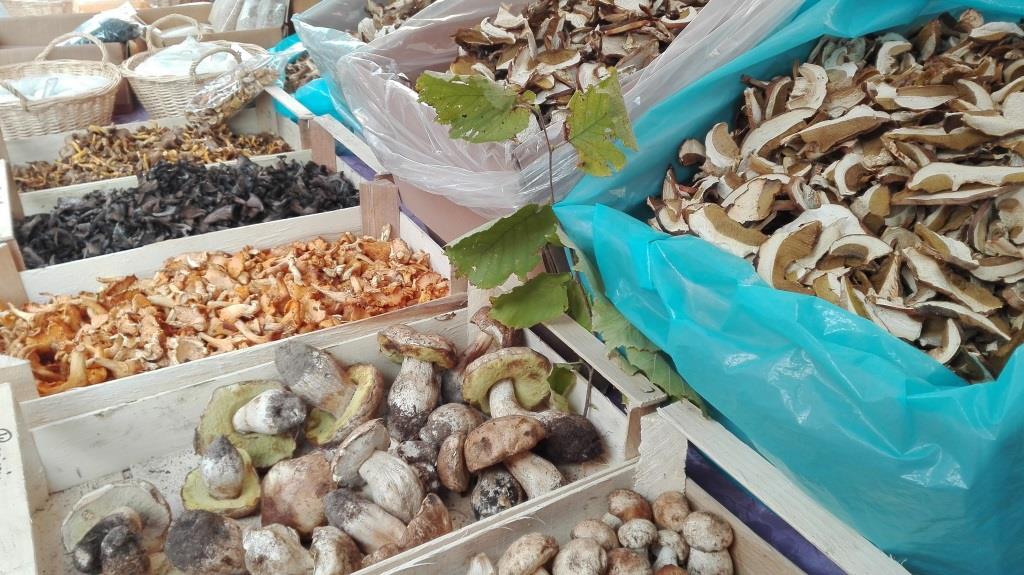 Porta il borgo di Bagno di Romagna a casa tua | Touring Club Italiano