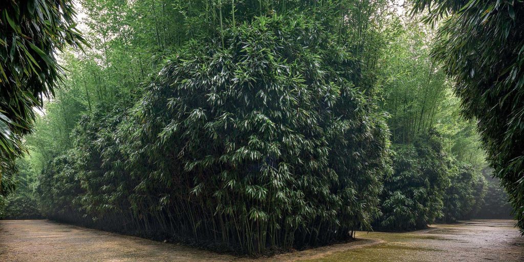 A Fontanellato il labirinto più grande del mondo | Touring Club Italiano