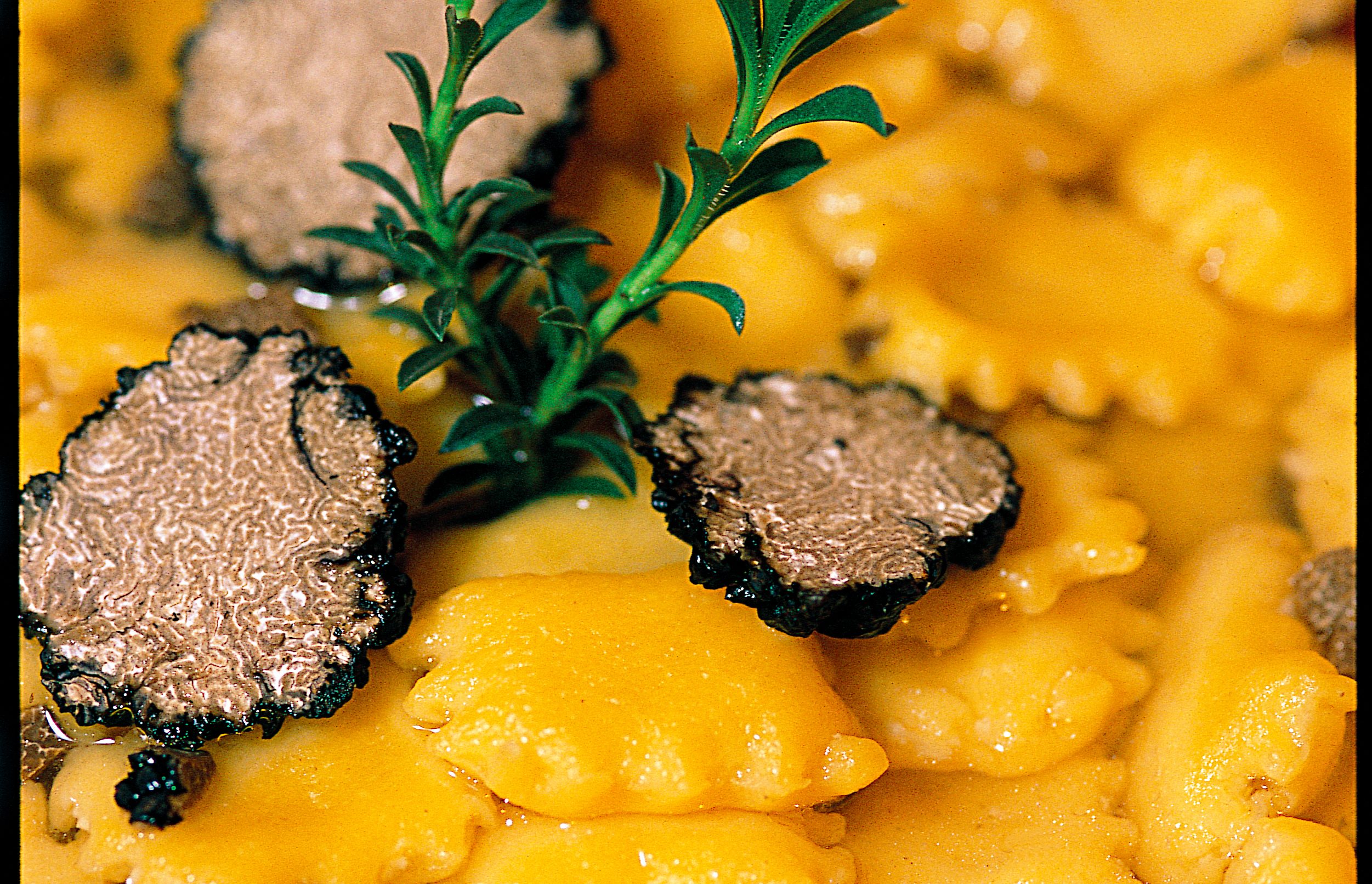 Festa della “Spoja Lorda” a Brisighella