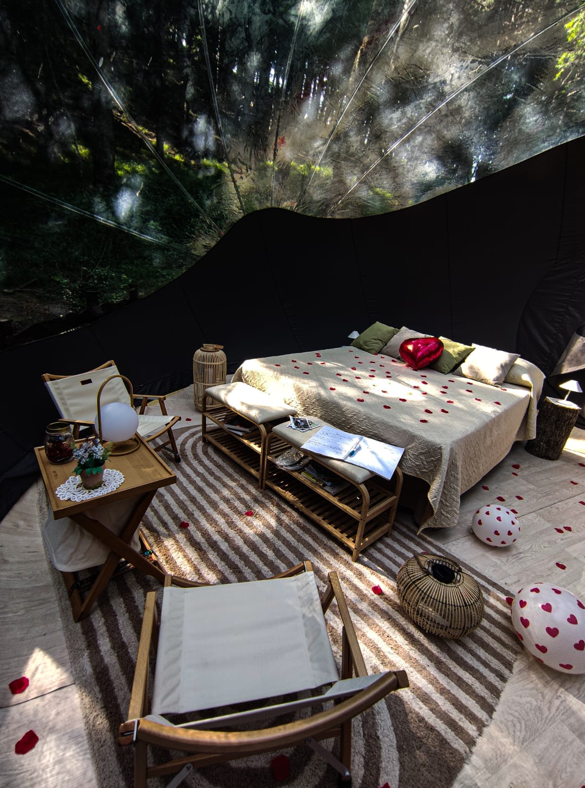 Bubble room e bed&tree: a Biccari dormire è un’esperienza unica ...