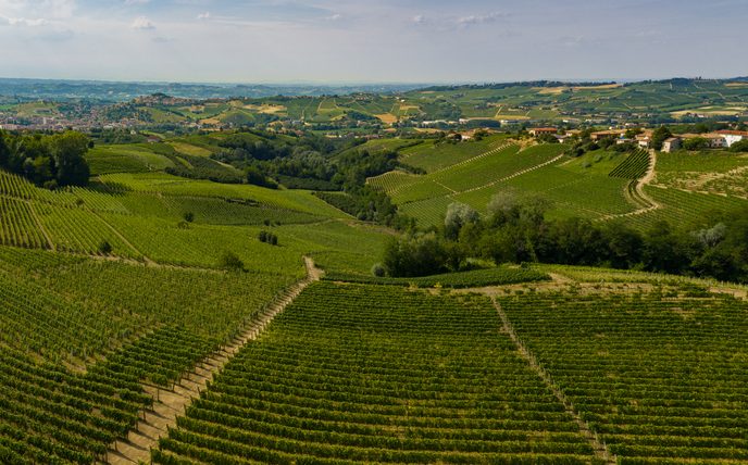 Moncalvo: cosa vedere, dove dormire, dove mangiare | Touring Club