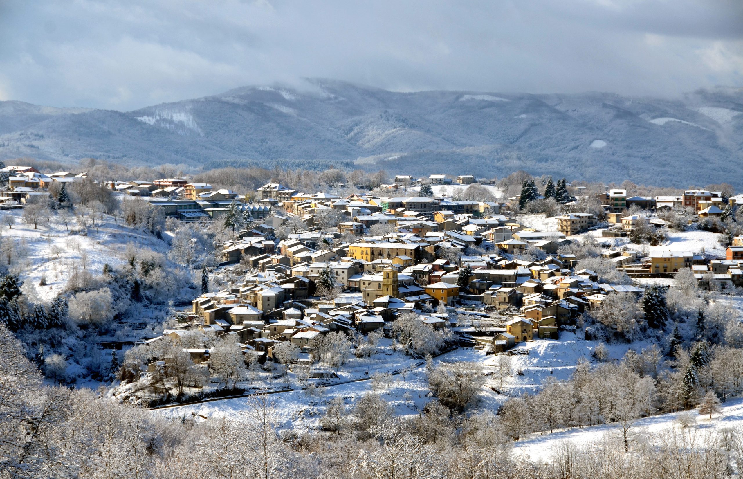 Carlopoli (Cz): presentazione del libro “L’Ape Regina”
