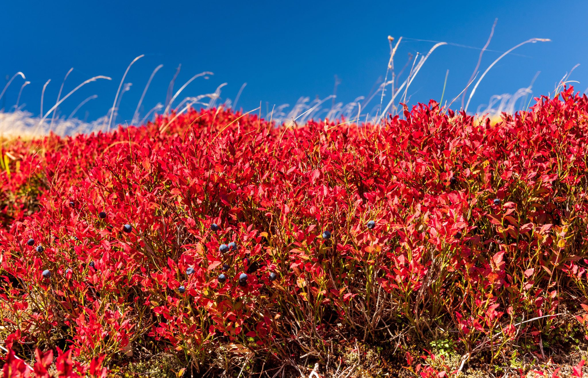 Fanano: cosa vedere, dove dormire, dove mangiare | Touring Club