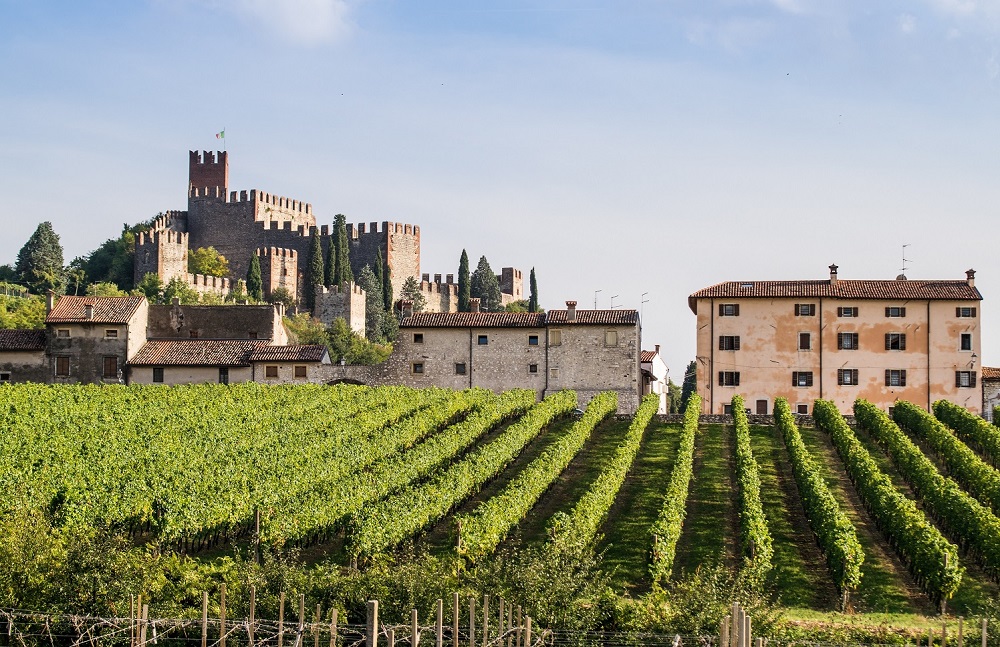 Passeggiare tra i vigneti del Soave, patrimonio dell'umanità FAO ...