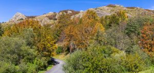 Santo Stefano d'Aveto: cosa vedere, dove dormire, dove mangiare ...