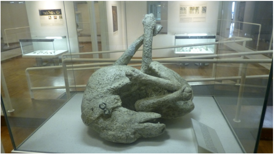 Piacenza: “I calchi di Pompei, testimonianza ed arte”