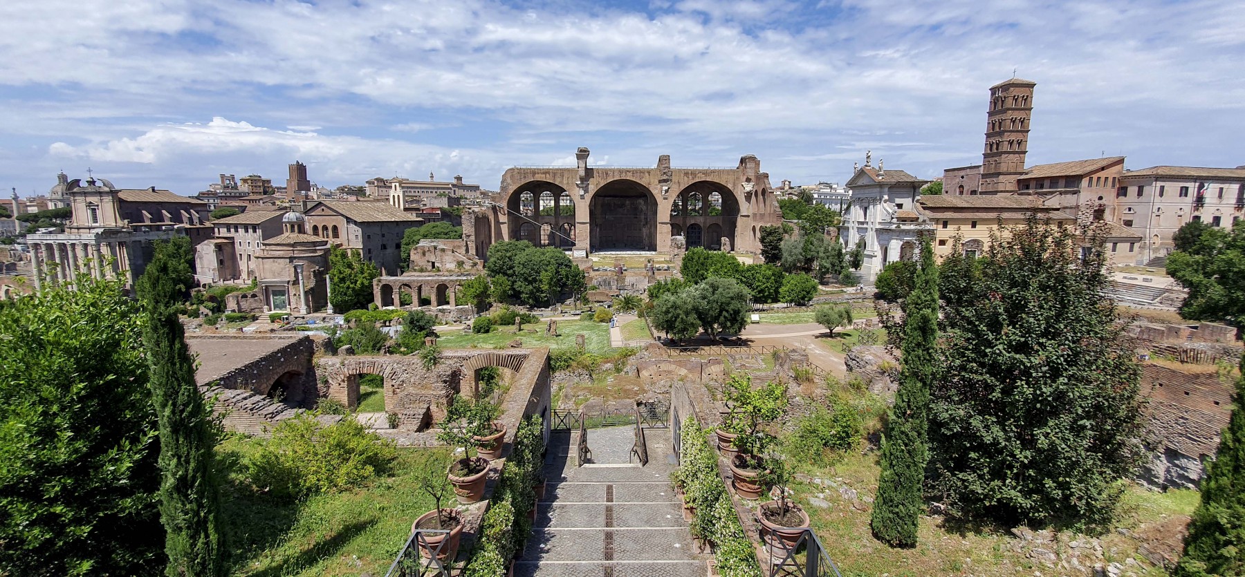 Roma: Percorso fotografico “Palatino e Foro romano”