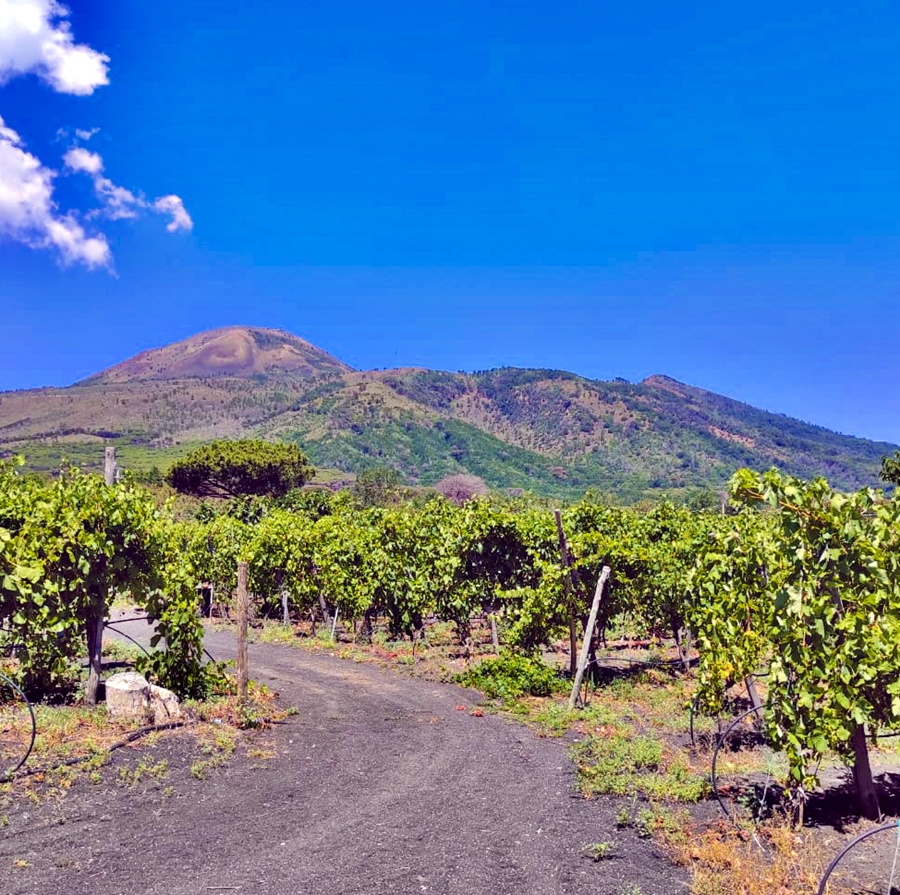 Vesuvio – Terzigno (Na): il sentiero n.11, le ville romane, il Museo ...